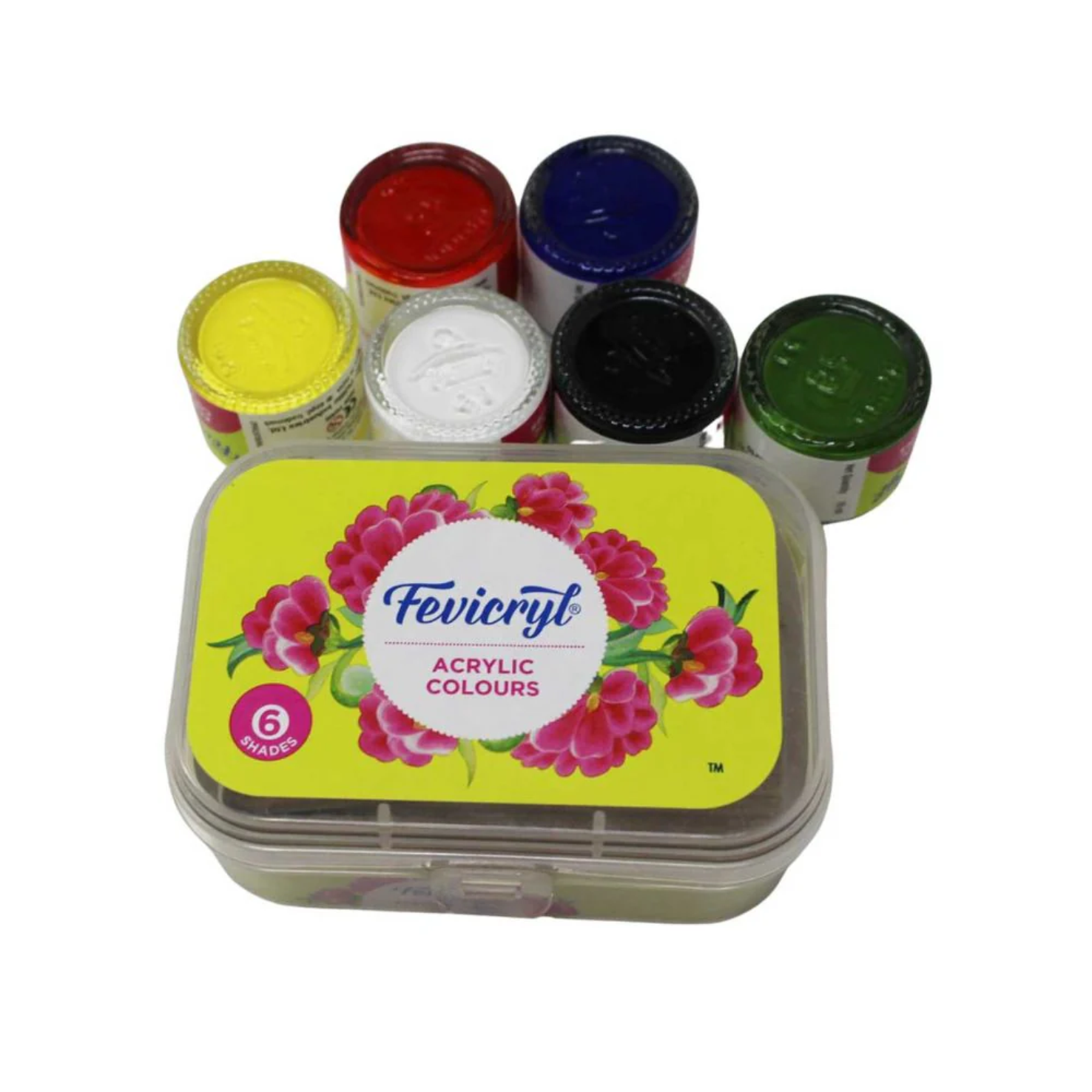 Fevicryl Acrylic Colors– Hobby Decor Pvt Ltd