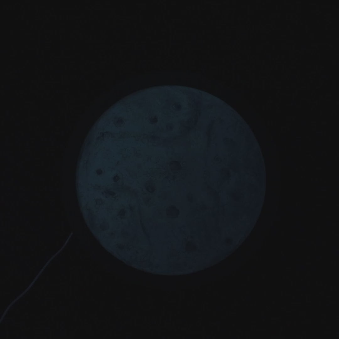 DIY Moon Lamp Kit– Hobby Decor Pvt Ltd