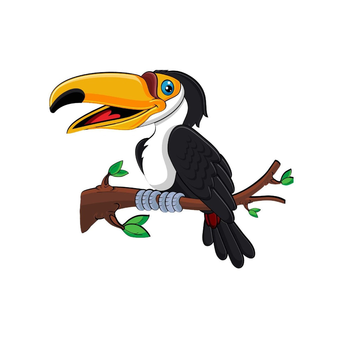 Cartoon Toucan DIY Canvas Base for Painting– Hobby Decor Pvt Ltd